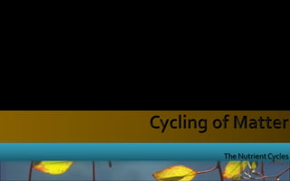Cycling of matter | PPT