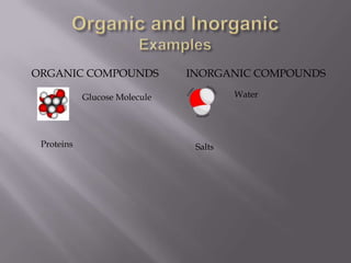 Cycling of organic and inorganic matter | PPT