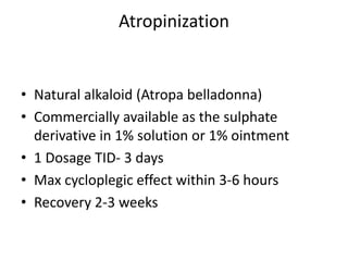 Cyclo Refraction.dider | PPTX