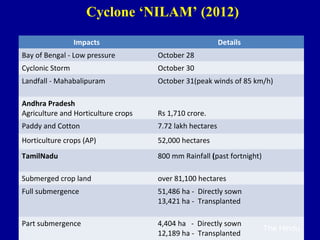 Cyclone | PPT