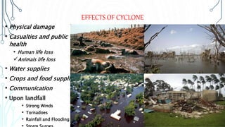 Cyclone | PPTX