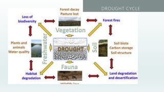 Cyclone and drought hazard in pakistan.pptx 21-ce-20.pptx