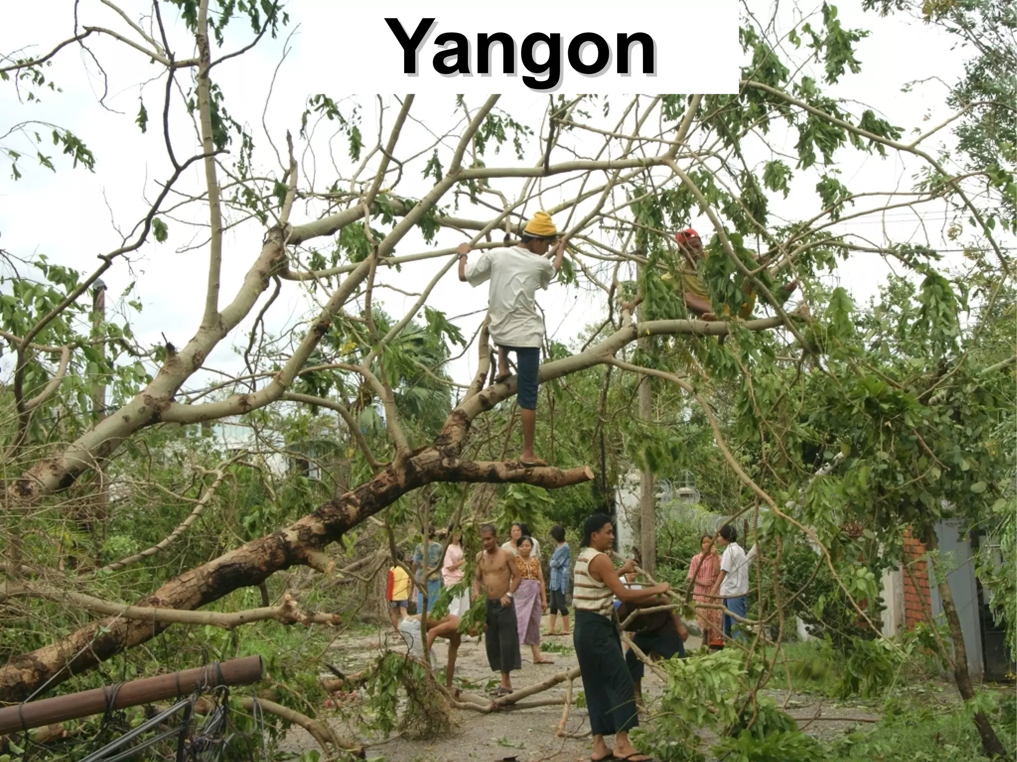 Cyclone Nargis-Myanmar | ODP