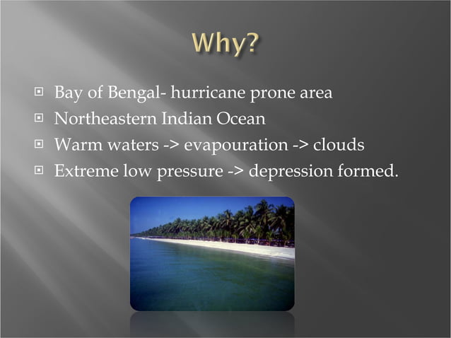 Cyclone Nargis Pres | PPT
