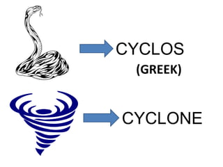 Cyclones | PPTX