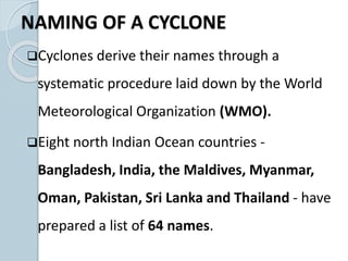 Cyclones | PPTX