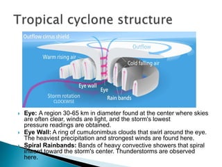 Structure Of Cyclones