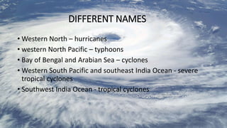 Cyclones | PPTX