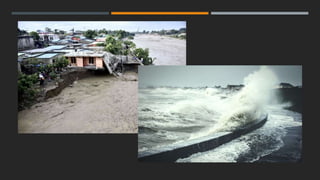 Danger and risk reduction: Cyclones, typhoons, and hurricanes | PPT