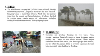 CYCLONES TYPES, DETAILS OF THE CONTENT IS PROVIDED | PDF