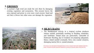 CYCLONES TYPES, DETAILS OF THE CONTENT IS PROVIDED | PPT