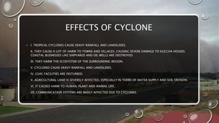 Cyclones | PPTX