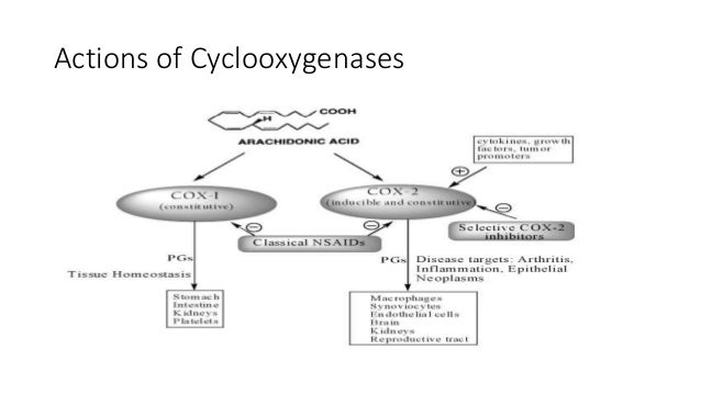 Cyclooxygenase presentation