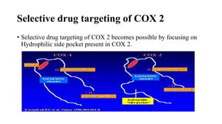 Cyclooxygenase-2 presentation | PPTX | Genetics | Science