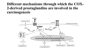 Cyclooxygenase-2 presentation | PPTX