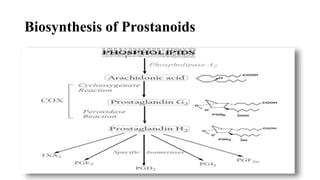 Cyclooxygenase-2 presentation | PPTX | Genetics | Science