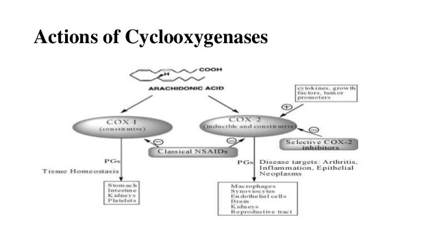 Cyclooxygenase-2 presentation