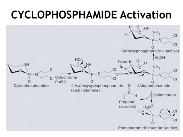Cyclophosphamide ppt | PPTX