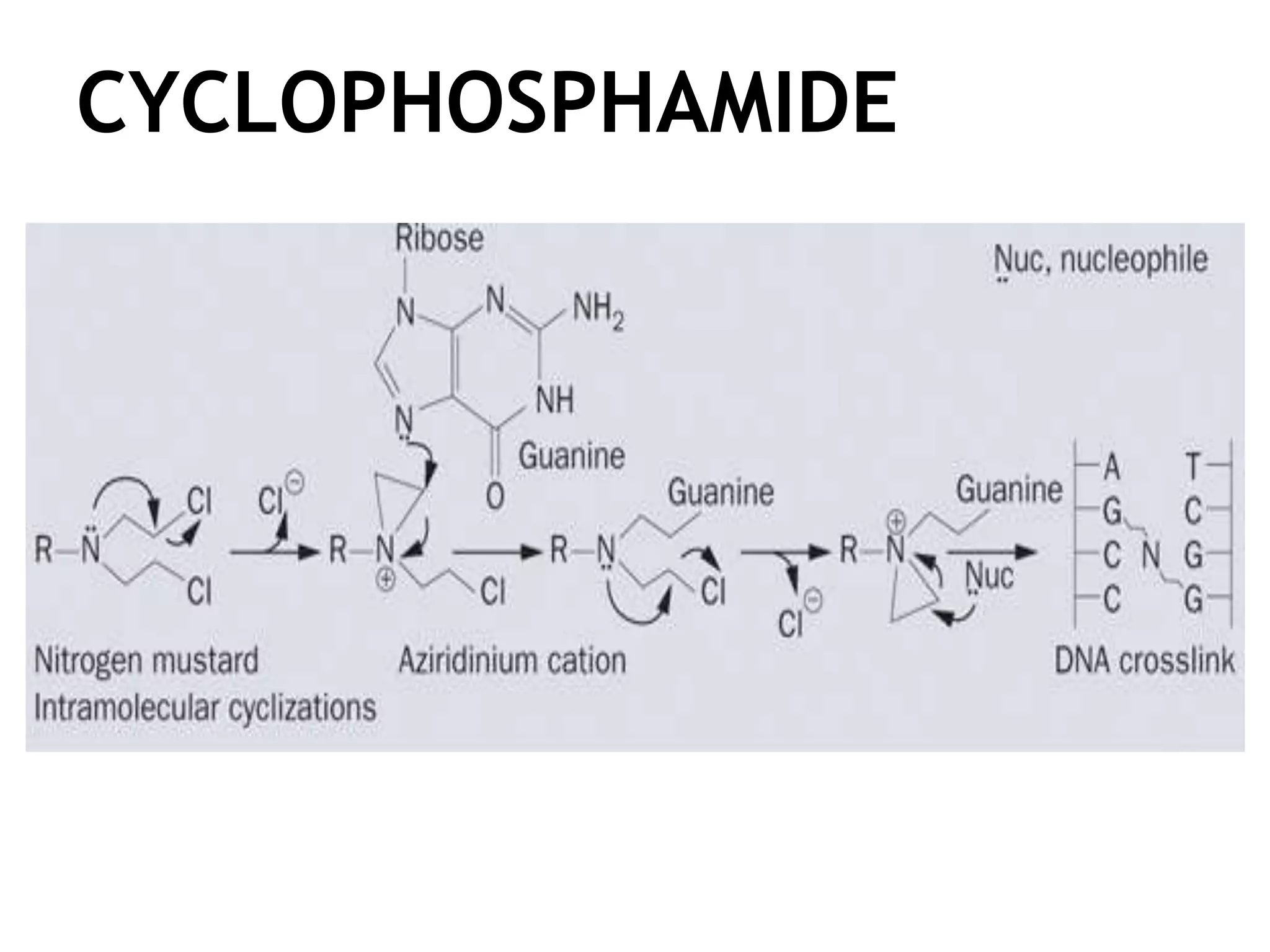 Cyclophosphamide | PPTX