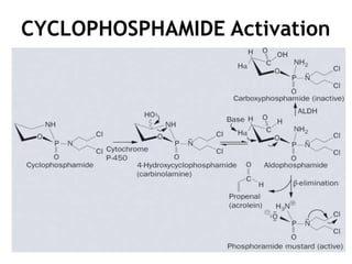 Cyclophosphamide | PPTX
