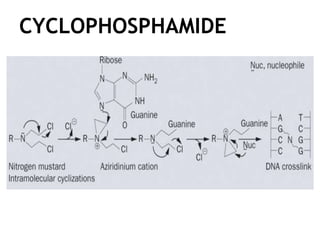Cyclophosphamide | PPTX