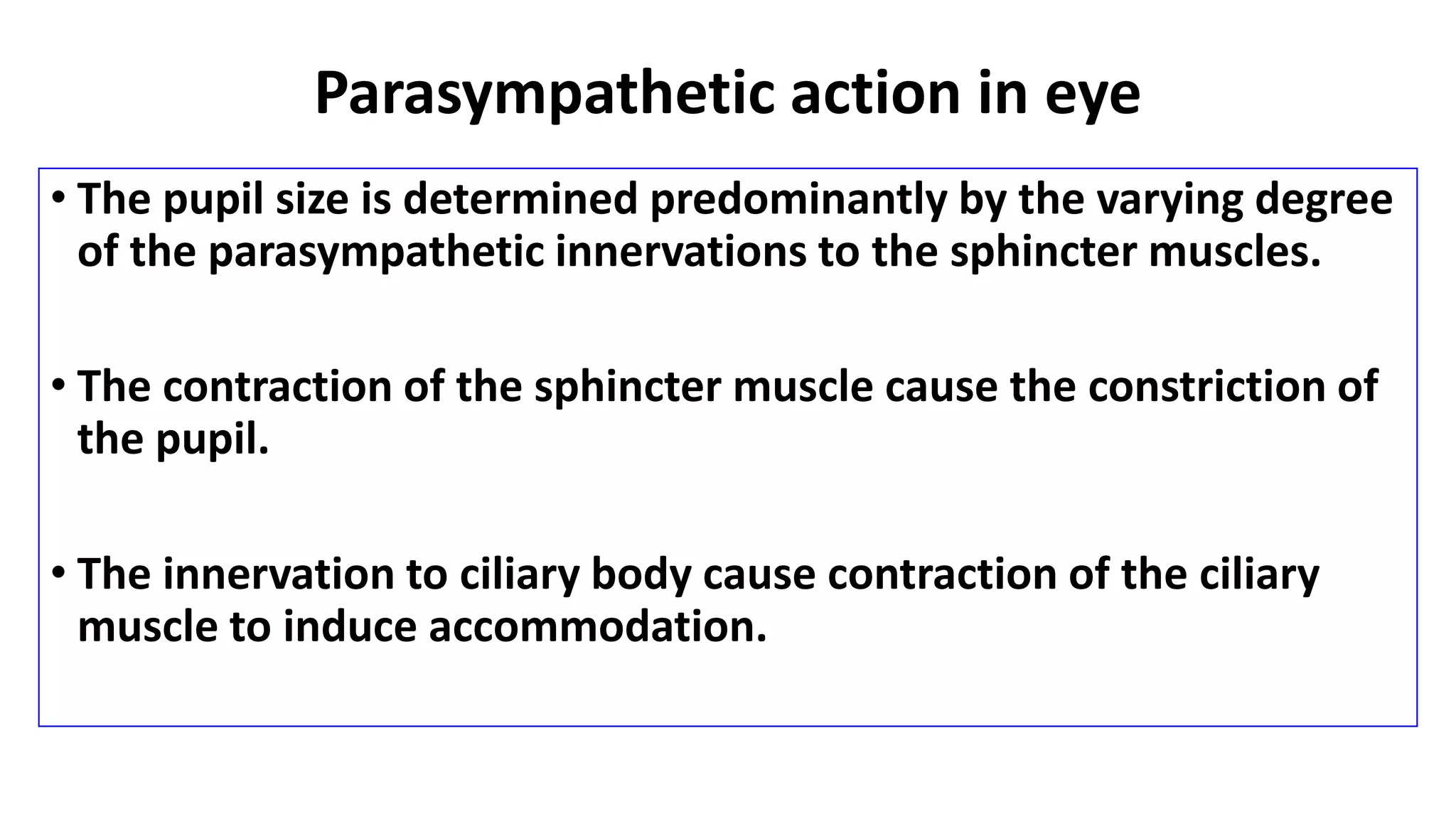 Cycloplegic agents & cyclorefraction | PPT