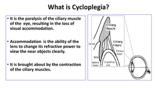 Cycloplegic agents & cyclorefraction | PPT