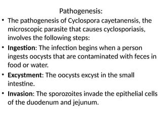 Cyclospora cayetanensis medical parasitology | PPTX