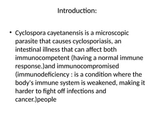 Cyclospora cayetanensis medical parasitology | PPTX