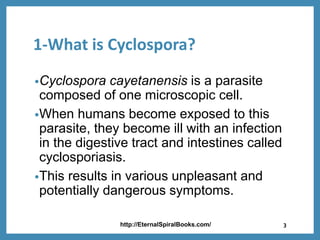 Cyclospora: How to Stay Safe | PPTX