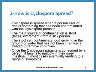 Cyclospora: How to Stay Safe | PPTX