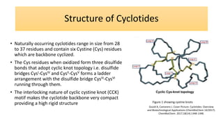 Cyclotides | PPTX