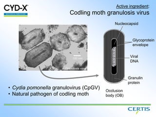 CYD-X for Codling Moth Control Pdf | PDF