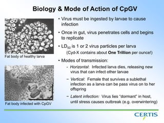 CYD-X for Codling Moth Control Pdf | PDF