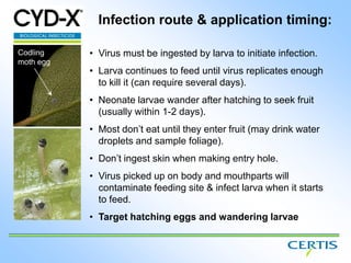 CYD-X for Codling Moth Control Pdf | PDF
