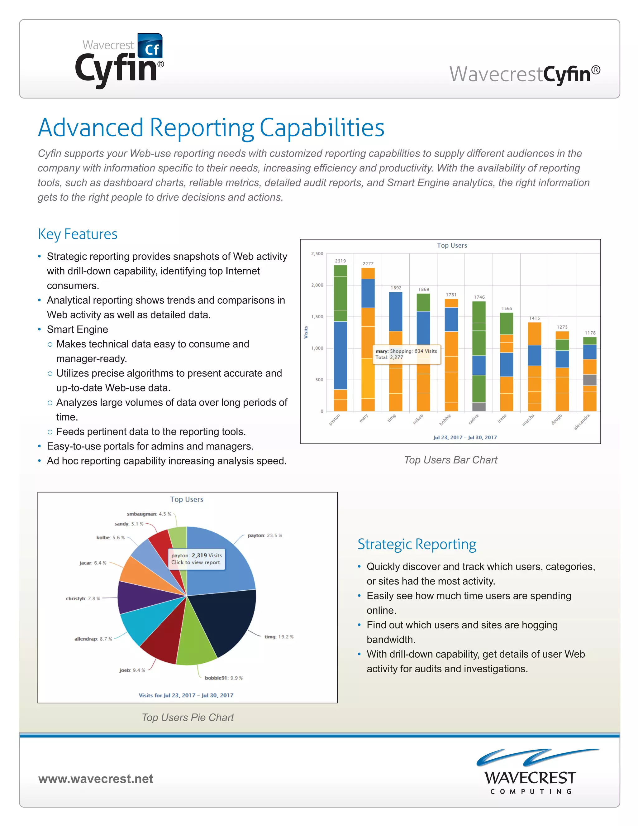 Cyfin Reporting Capabilities Datasheet | PDF