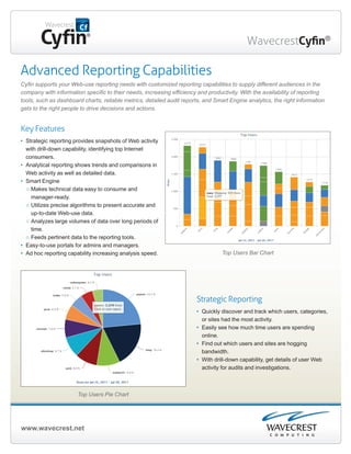 Cyfin Reporting Capabilities Datasheet | PDF