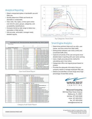 Cyfin Reporting Capabilities Datasheet | PDF