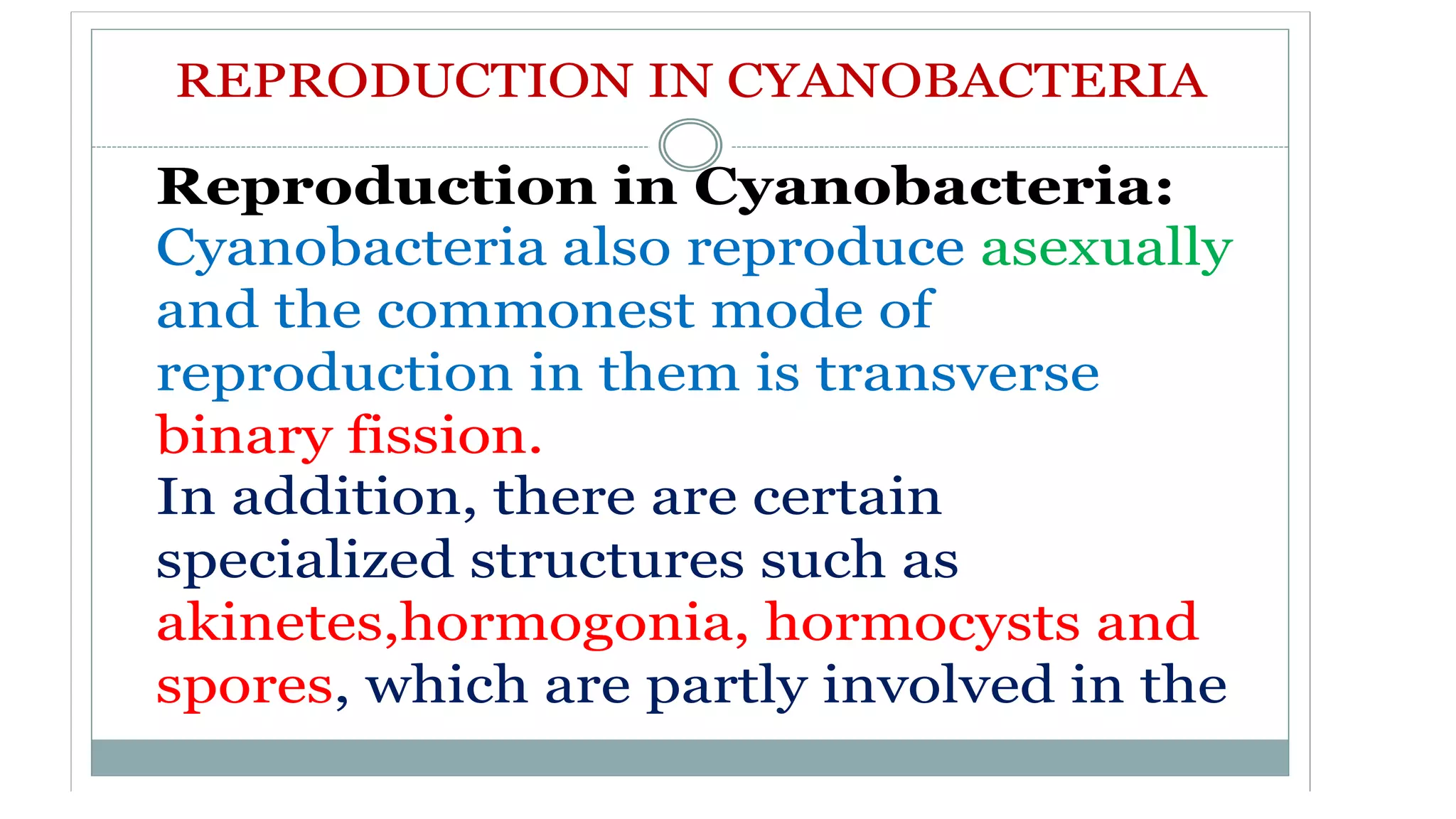 Cynobacteria Structure and Reproduction | PPTX