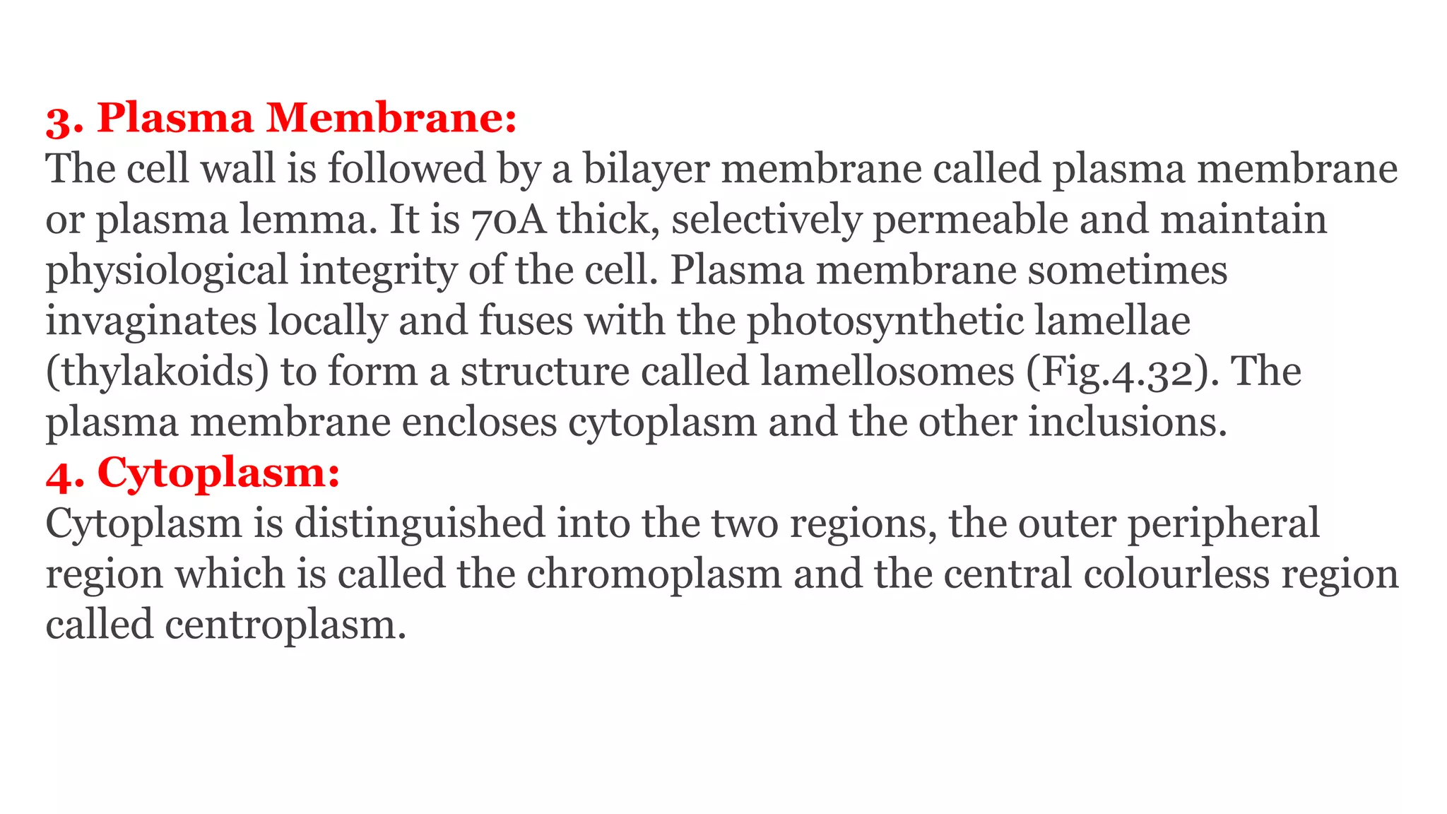 Cynobacteria Structure and Reproduction | PPTX