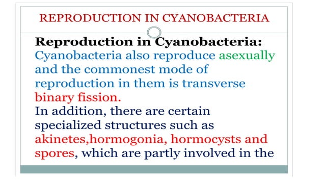 Cynobacteria Structure and Reproduction | PPTX
