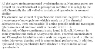 Cynobacteria Structure and Reproduction | PPTX