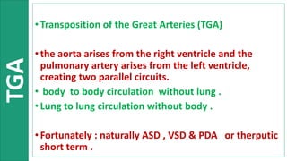 Cynotic conginital heart disease ( tetralogy of fallot & transposition ...