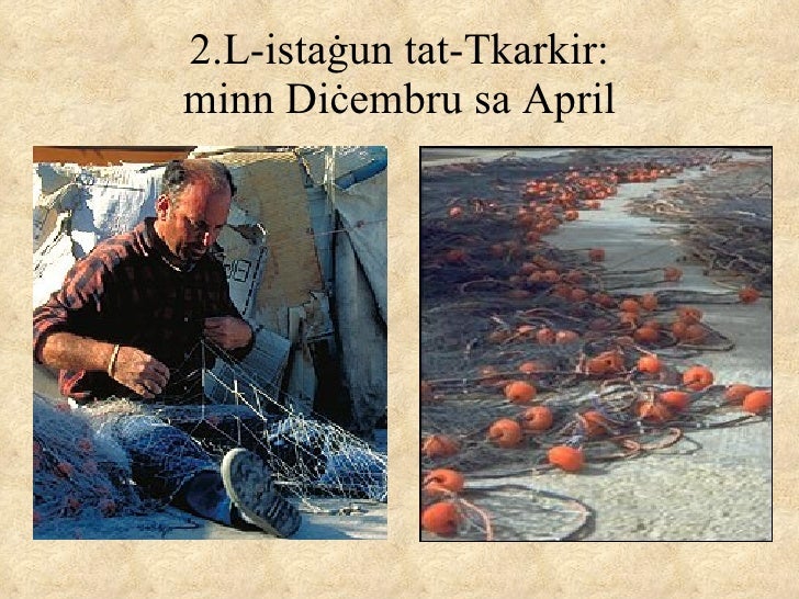 Is-Sajd