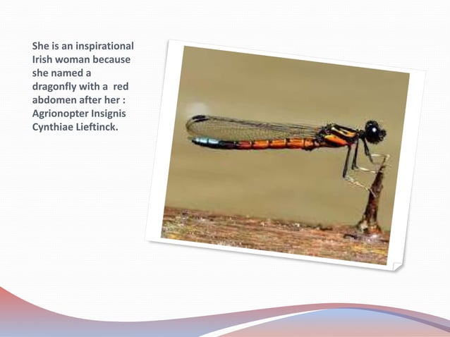 Cynthia longfield. by nichola | PPT