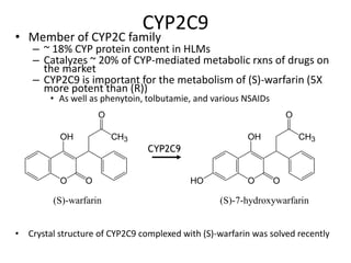 CYP2C9 Haplotype Structure and Association with Clinical Outcomes | PPTX