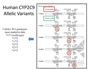 CYP2C9 Haplotype Structure and Association with Clinical Outcomes | PPTX