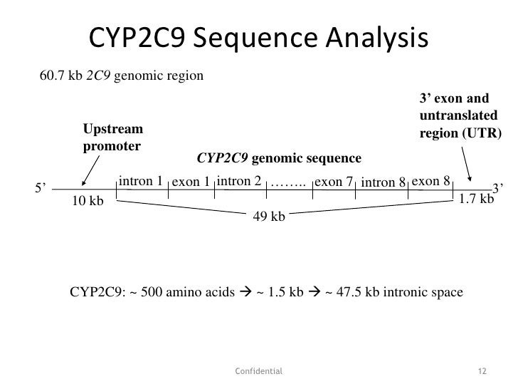 18.Cytochrome P450의 약물유전체학 CYP2C9 CYP2C19 시트크롬 P450 약물대사 : 네이버 블로그