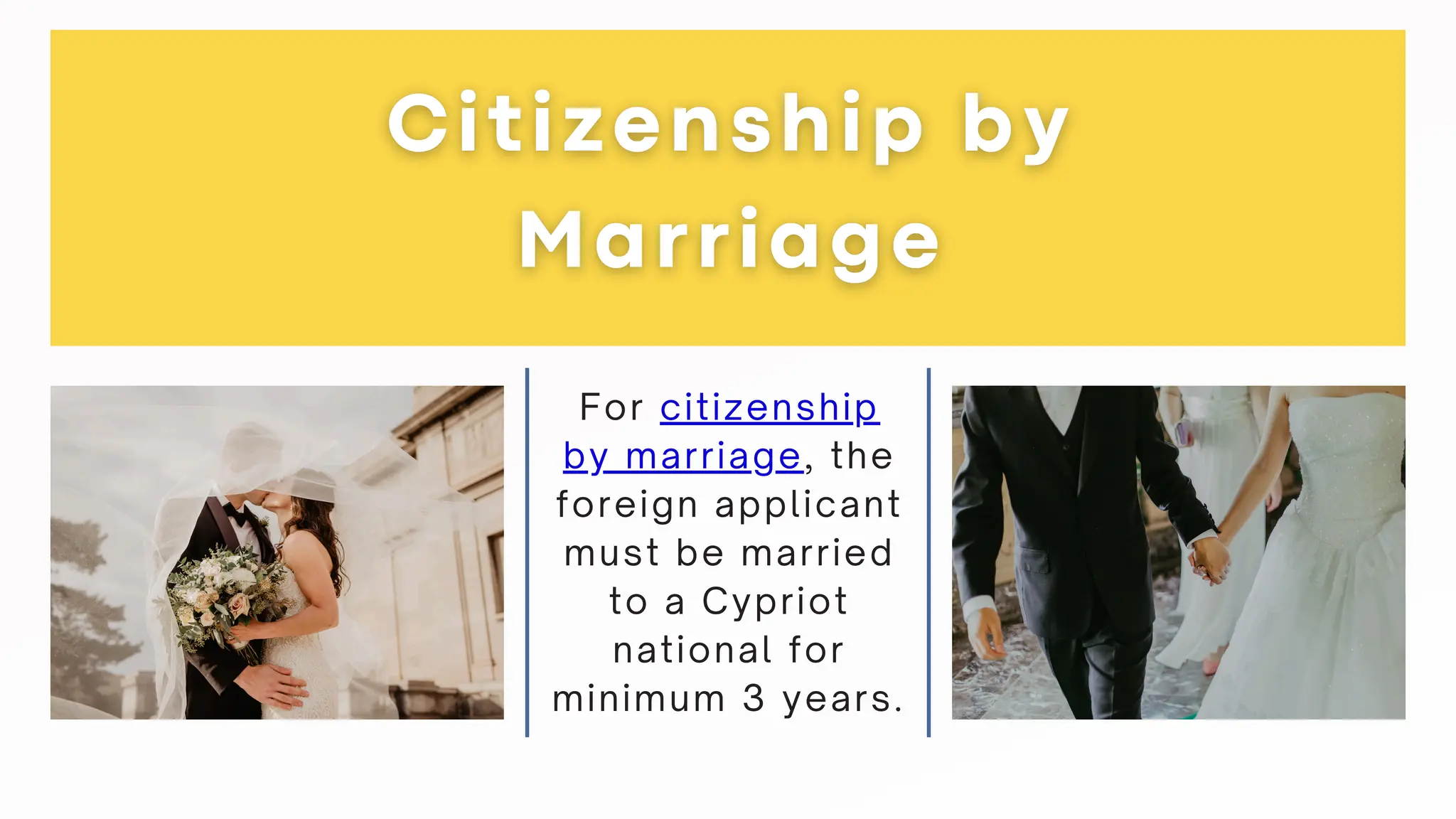 The Main Procedures for Obtaining Cypriot Citizenship | PDF