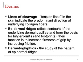 integumentary system | PPT